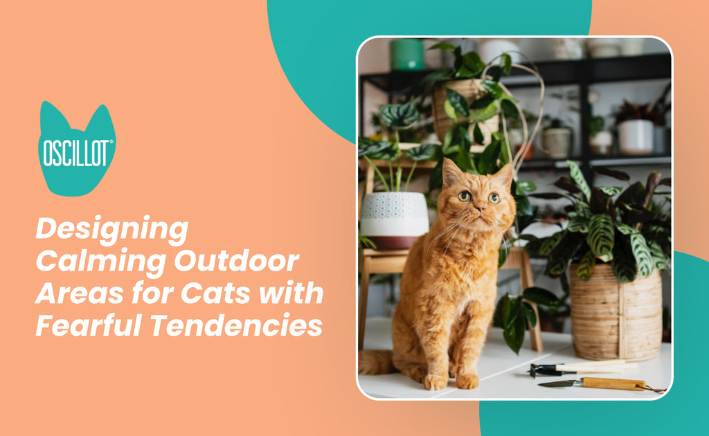 Designing Calming Outdoor Areas for Cats with Fearful Tendencies – Cat ...