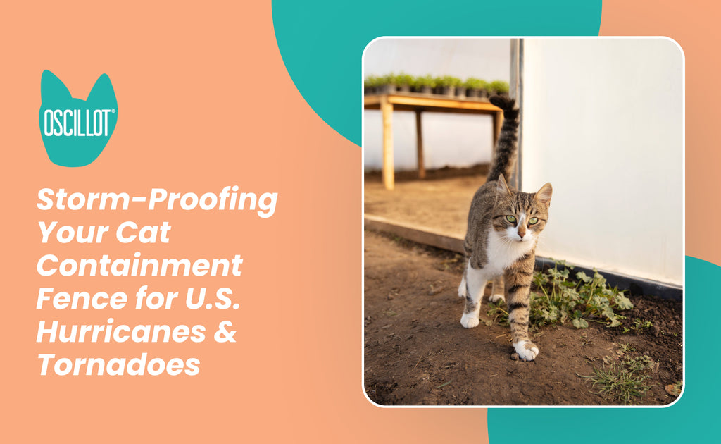 Storm-Proofing Your Cat Containment Fence for U.S. Hurricanes & Tornad ...
