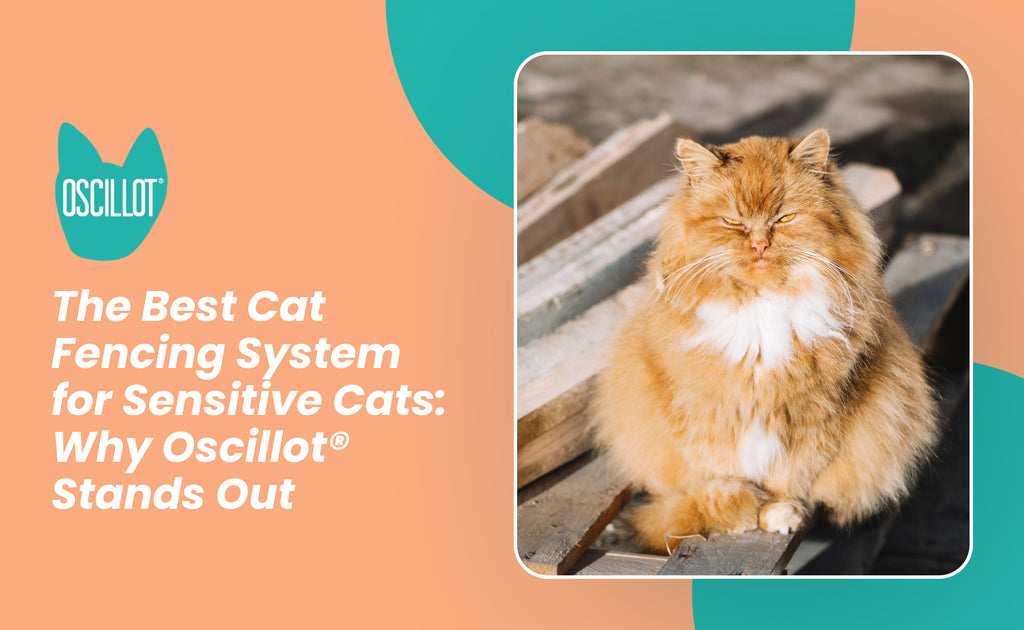 The Best Cat Fencing System for Sensitive Cats: Why Oscillot® Stands O – Cat-Proof Fence Rollers ...
