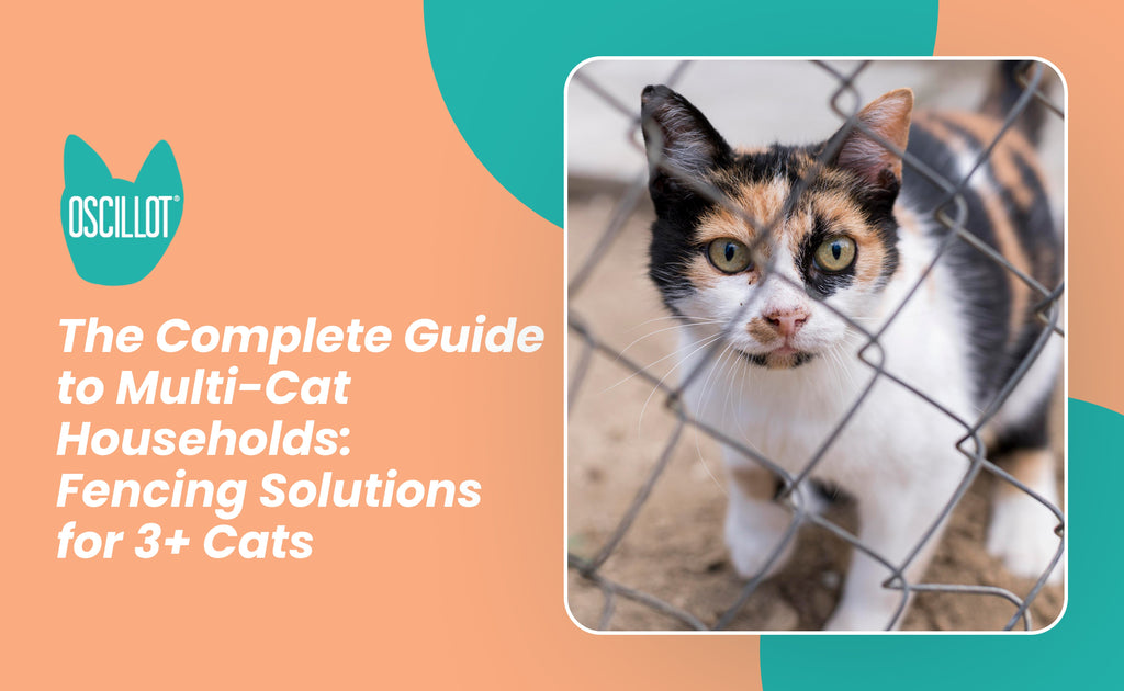 The Complete Guide to Multi-Cat Households: Fencing Solutions for 3+ C ...