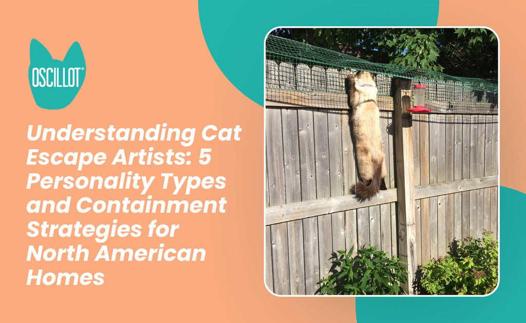 Understanding Cat Escape Artists: 5 Personality Types and Containment ...